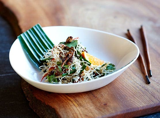 Eat Grubs Edible Insects – Flux Magazine