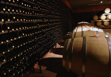 Discover Masseto: Winery of the decade for good reason | FLUX MAGAZINE