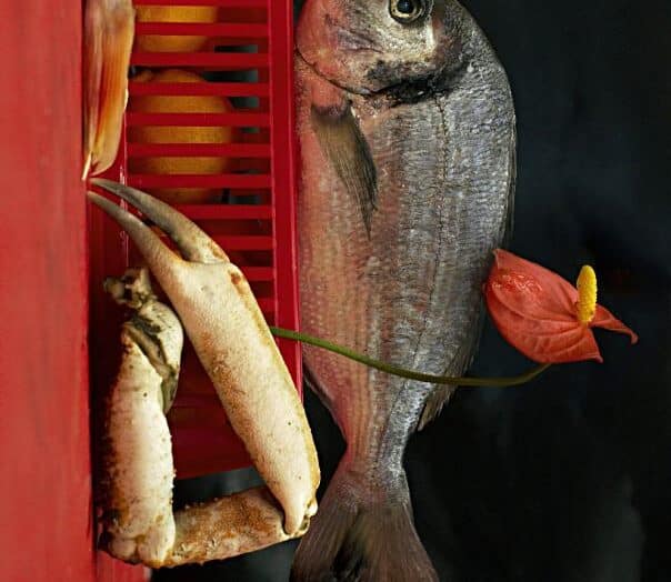 FLUX MAGAZINE – Art, Music, Film, Fashion & Culture Magazine